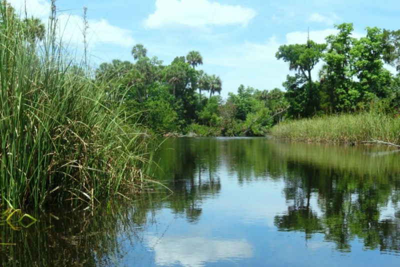 Port Richey - Seabreeze Boat Rentals